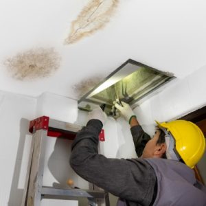 How to Dry a Ceiling Quickly