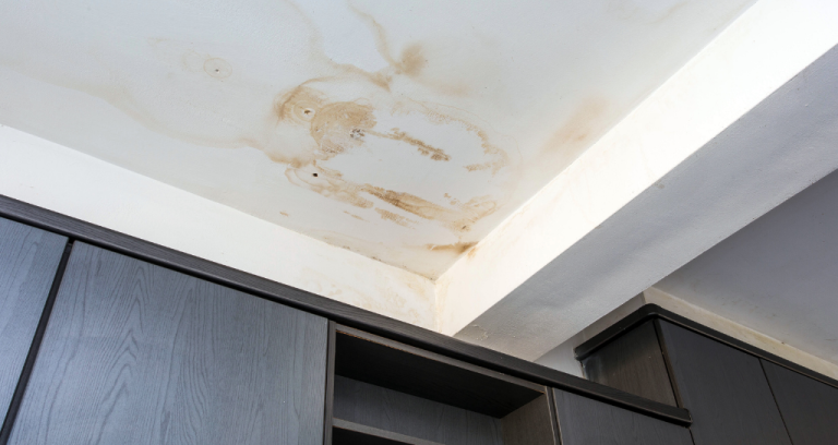 Water Spot On Ceiling After Heavy Rain - Causes and Solutions
