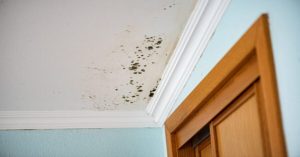 Understanding and Managing Condensation on Ceiling in Winter: Decoding ...