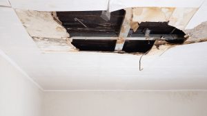 Help! My Ceiling Is Falling Down: Understanding Causes and Solutions ...