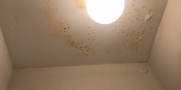 Troubleshooting Woes: What to Do When You See Water Coming From Ceiling ...
