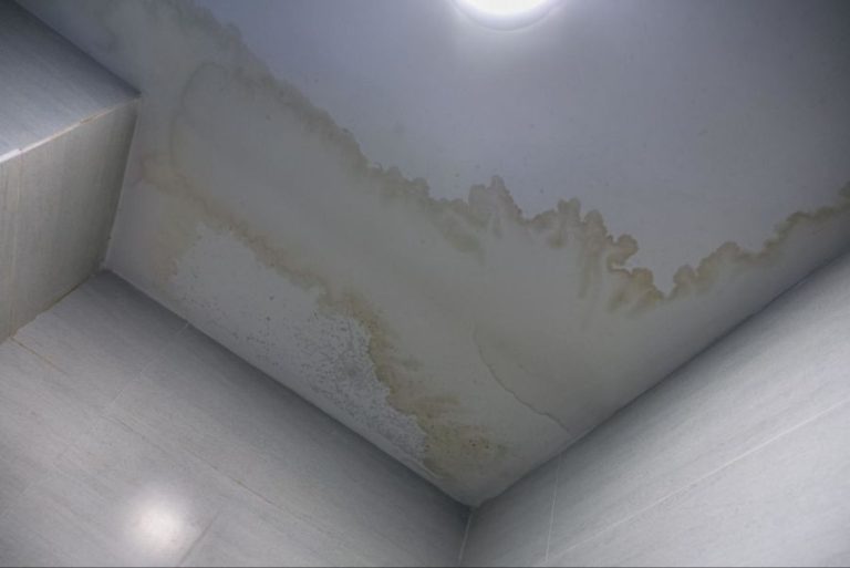 Troubleshooting Woes: What to Do When You See Water Dripping Through ...