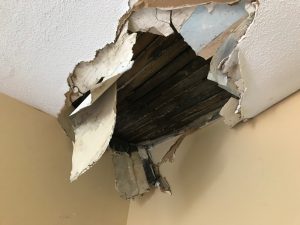 Can a Leaking Ceiling Collapse? Exploring the Dangers and Solutions ...