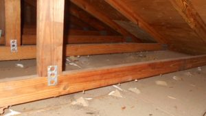 Is Your Garage Ceiling Falling Down? Explore the Causes and Remedies