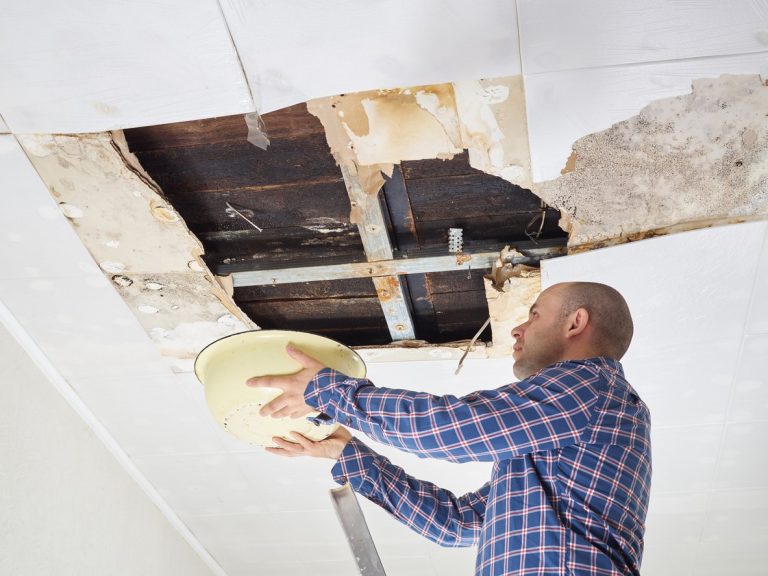 My Ceiling Collapsed - A Homeowner's Guide to Recovery: When Disaster ...