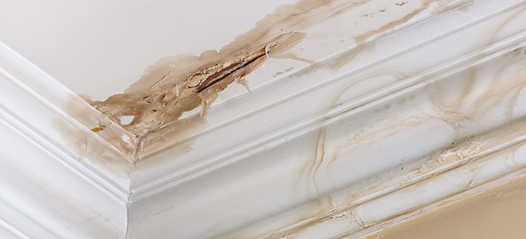 Dealing with the aftermath of Plaster Ceiling Water Damage: Salvaging ...