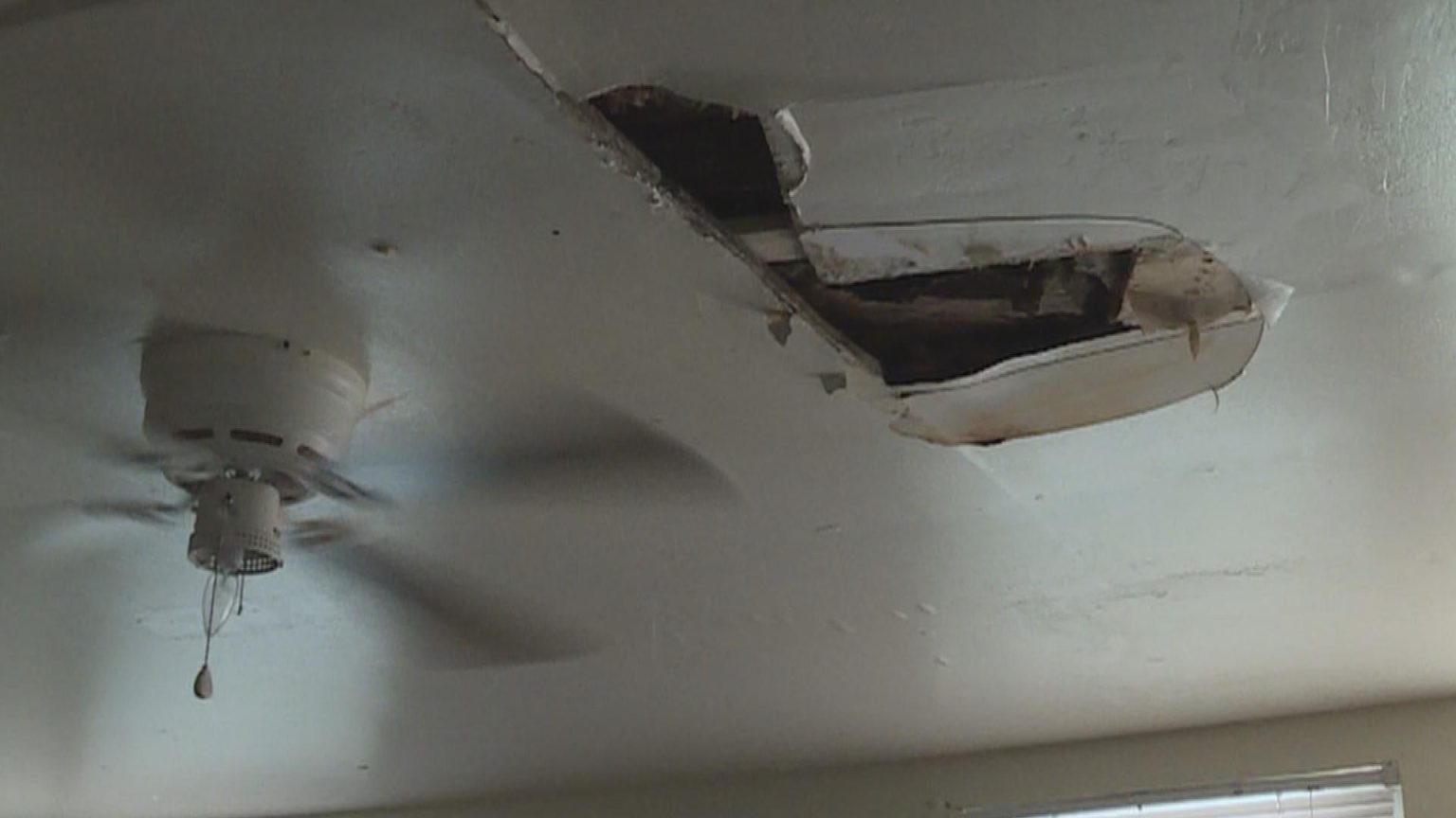 Dealing with the Challenges of Rain Coming Through Ceiling in Your Home ...