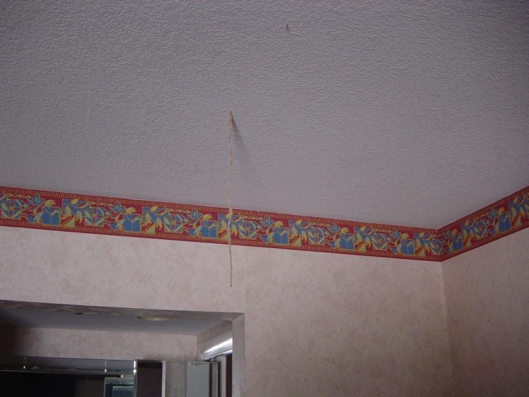 How to Deal with Termites Coming From Ceiling? Unveiling the Threat