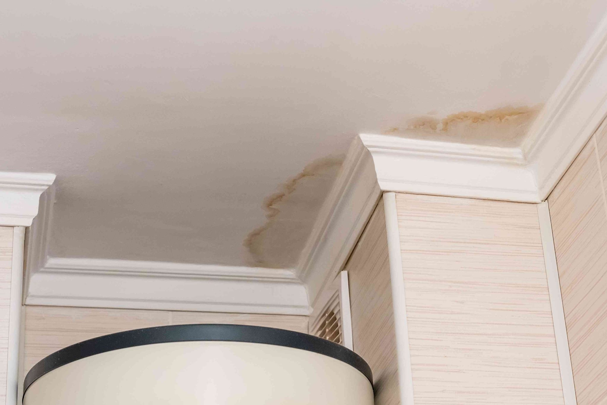 Understanding and Tackling Ceiling Condensation Stains: Unveiling the ...