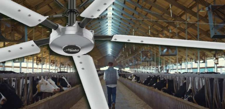 Ceiling Fans for Barns: Keeping Your Animals Cool and Comfortable