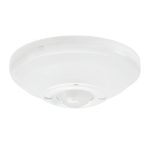 Ceiling Mounted Motion Sensors Lights: Maximizing Home Security with ...
