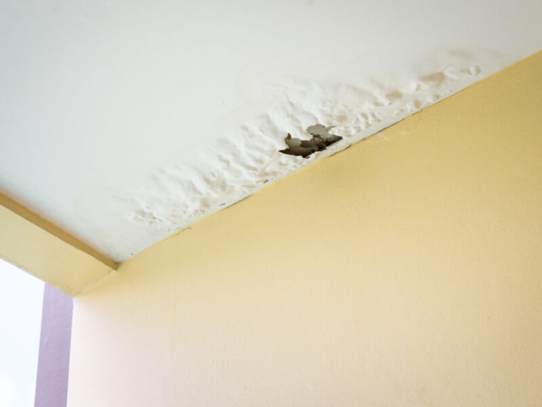 Is a Ceiling Leak an Emergency? Understanding the Risks and Response