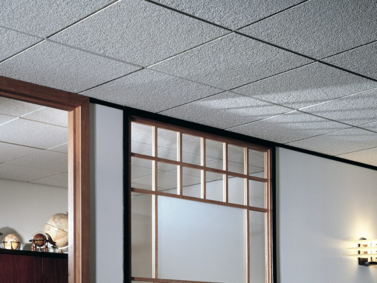 USG Eclipse Ceiling Tile: A Comprehensive Guide to Enhanced Acoustic ...