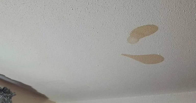 Brown Patch on Ceiling: Causes, Solutions, and Prevention